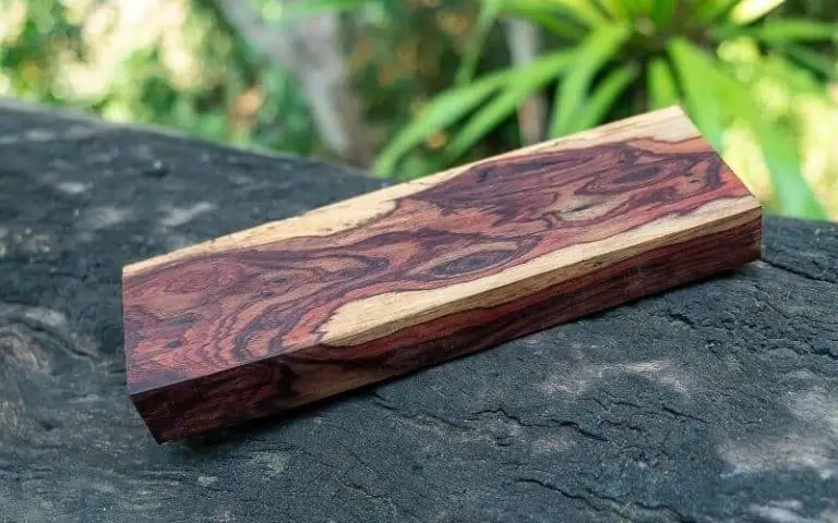 The 10 Most Expensive Woods in the World and Why