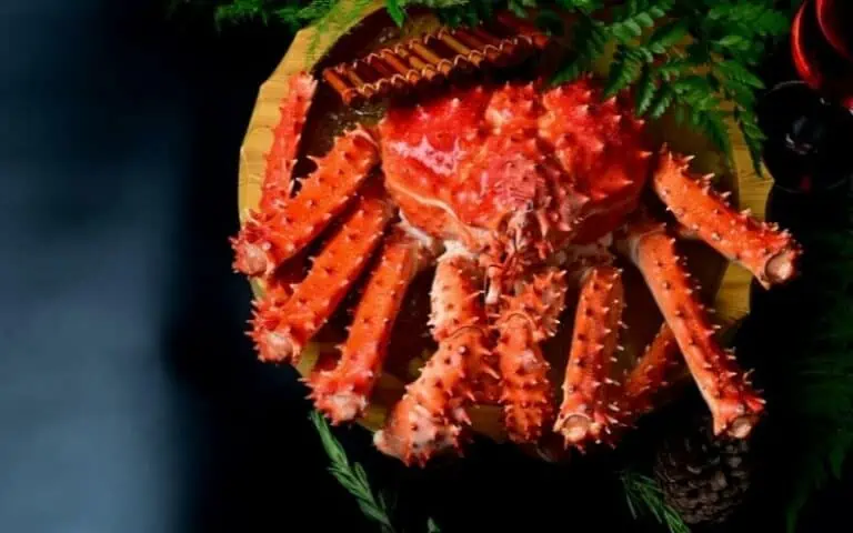 The 10 Most Expensive Seafood in the World and Why