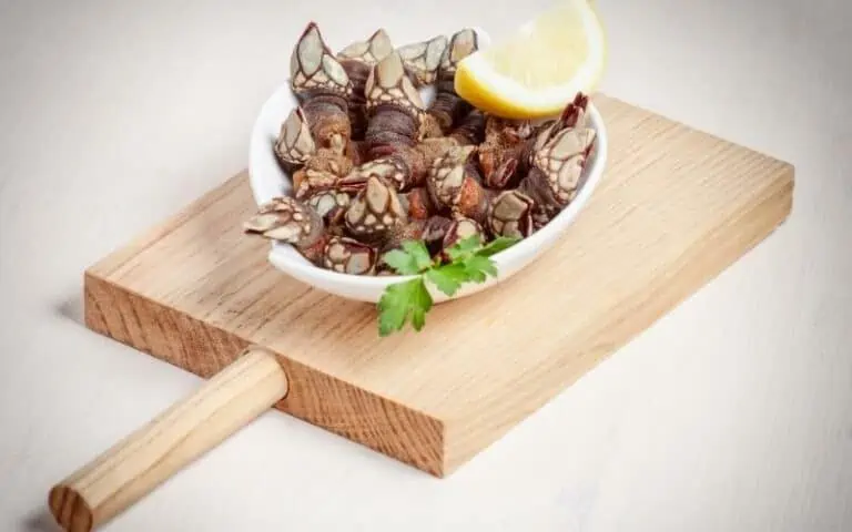 The 10 Most Expensive Seafood in the World and Why