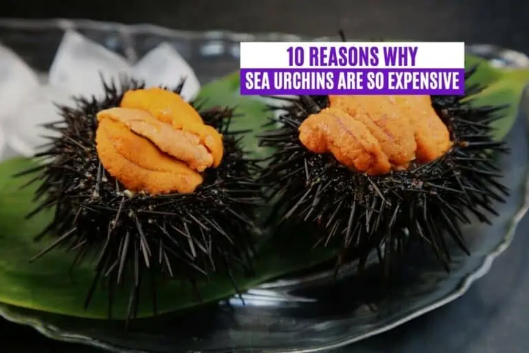 The 10 Most Expensive Vegetables You Should Try (With Reasons)