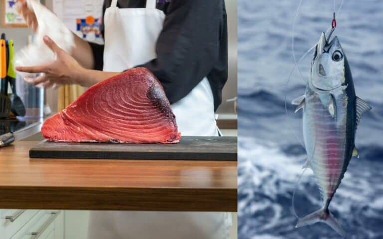 The 10 Most Expensive Fish That Are Tasty to Eat