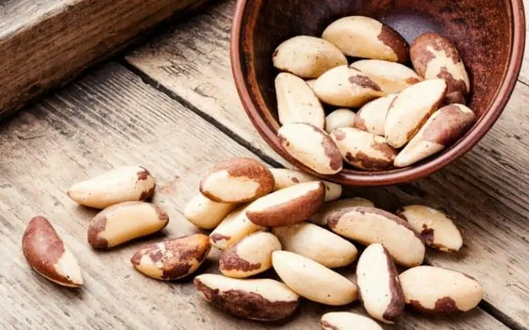 Top 10 Most Expensive Nuts in the World (With Reasons)