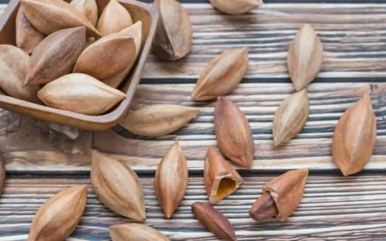 Top 10 Most Expensive Nuts in the World (With Reasons)