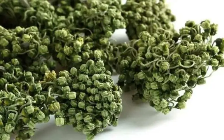 Top 10 Most Expensive Teas in the World Money Can Buy