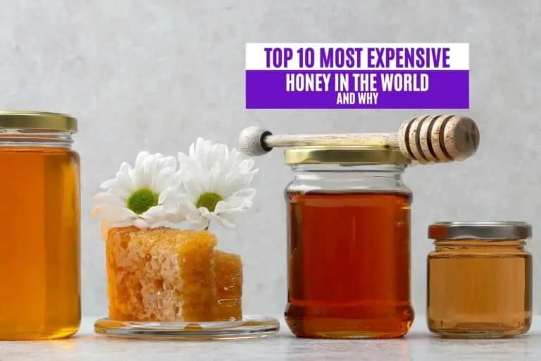 The 10 Most Expensive Salts in the World and Why