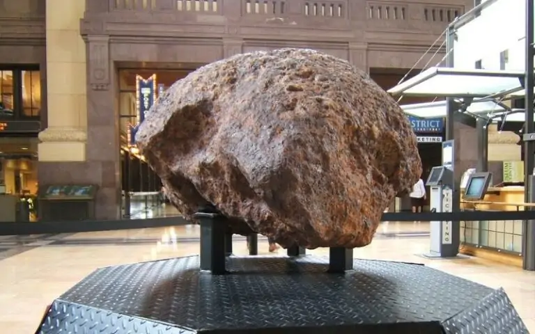Top 10 Most Expensive Meteorites Ever Found
