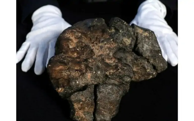 Top 10 Most Expensive Meteorites Ever Found