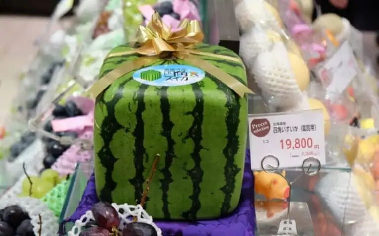 Top 10 Most Expensive Fruits in the World