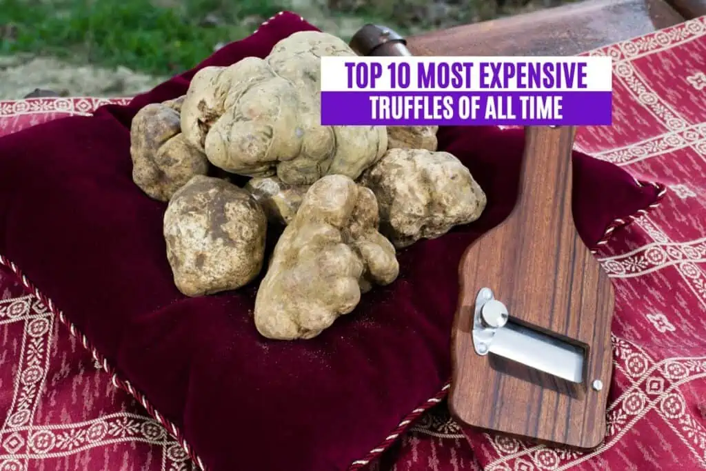Top 10 Most Expensive Truffles of All Time