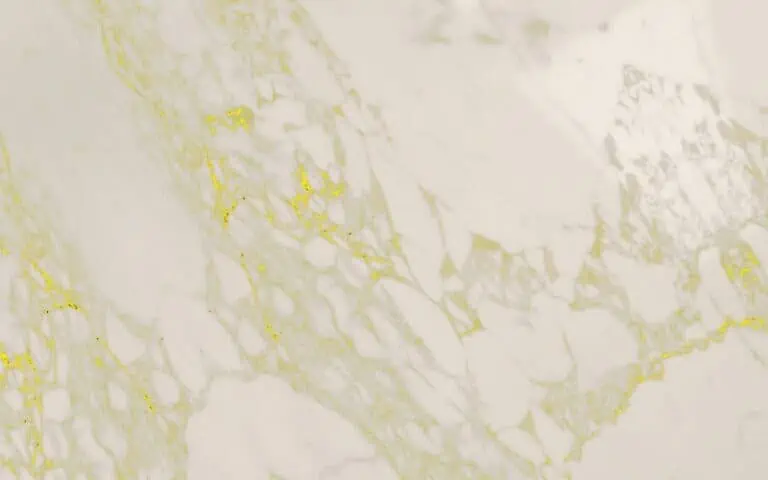 Top 10 Most Expensive Types of Marble in the World